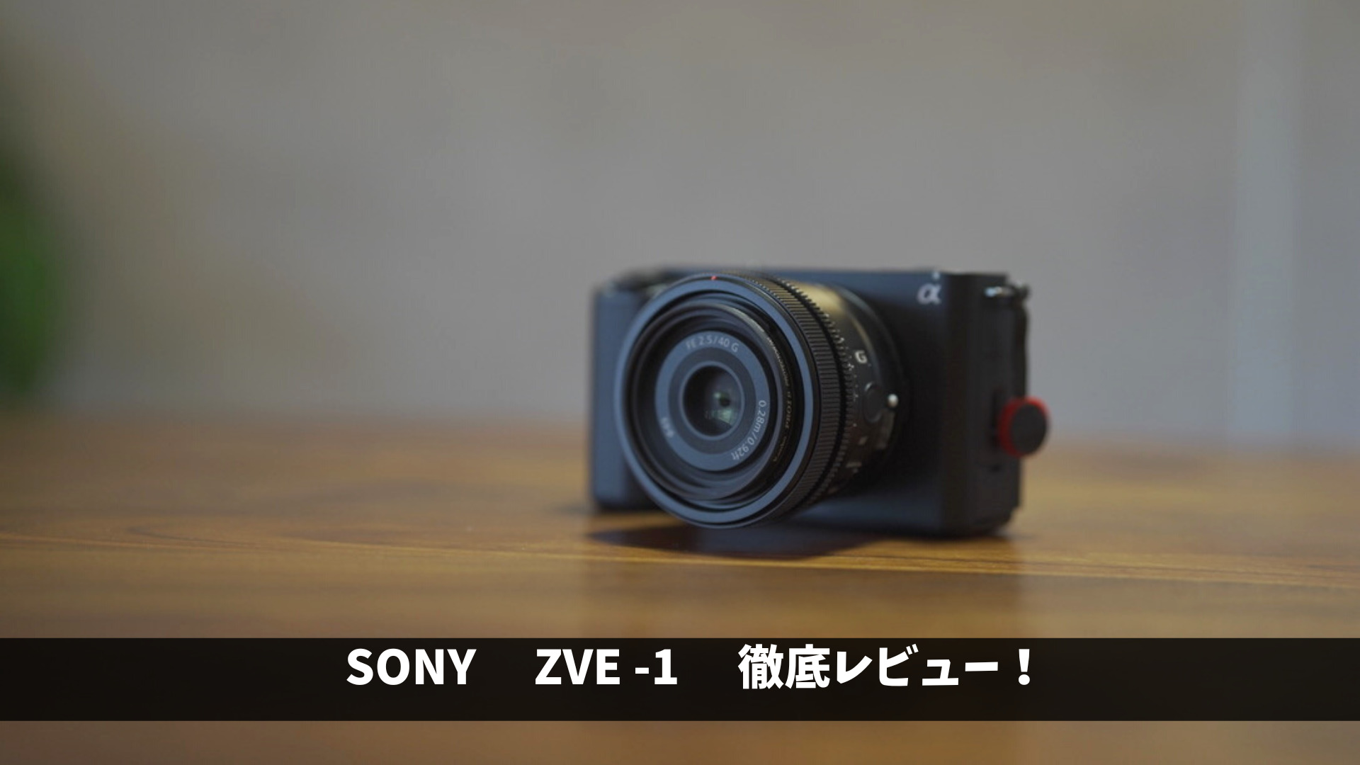 SONY ZVE1徹底レビュー 写真もバッチリ！？ | ヨコハマ家族の日常